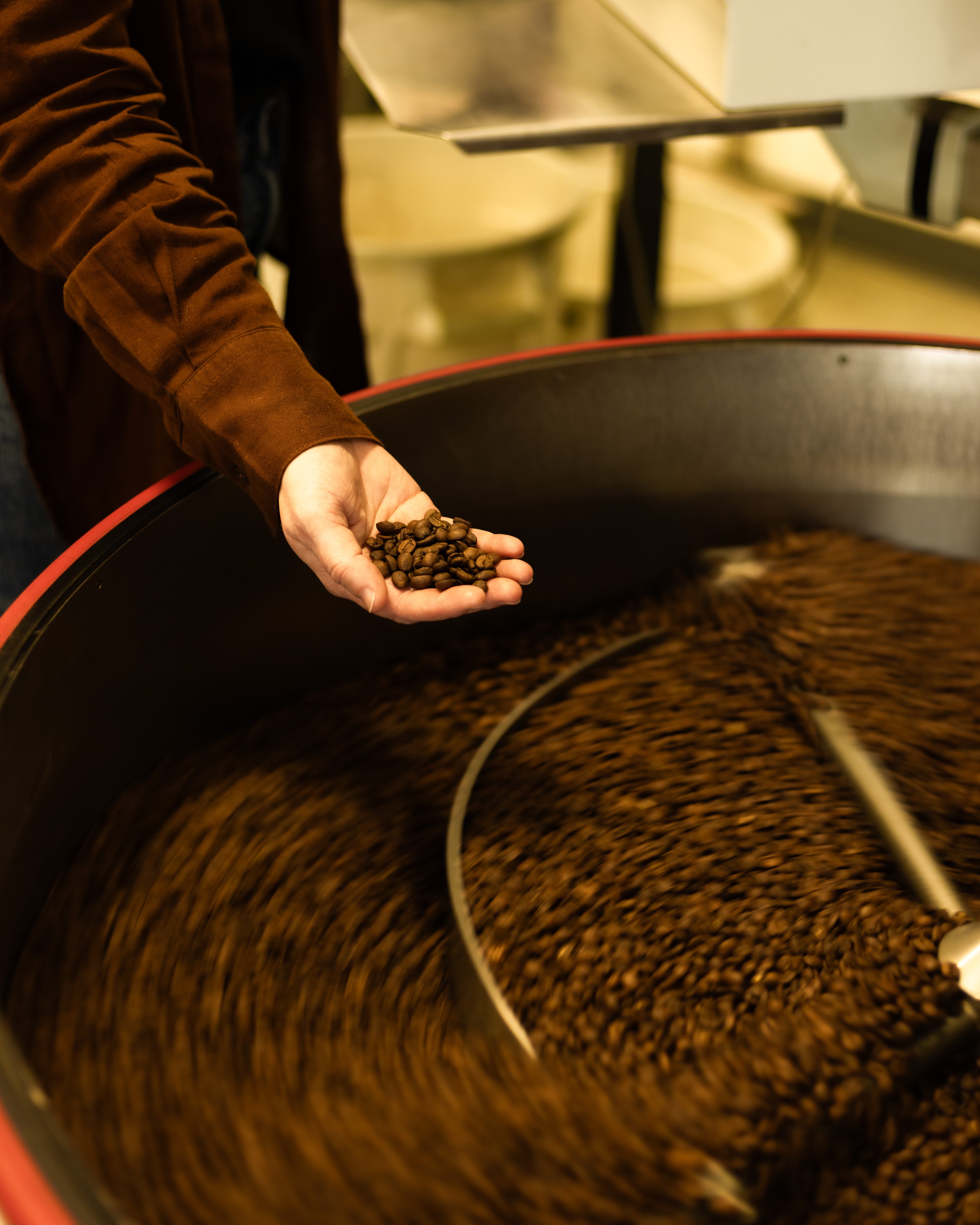 Why Should You Let Your Coffee Rest? – Speedwell Coffee